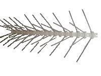 China Bird Spike Stainless Steel in bird Control for sale