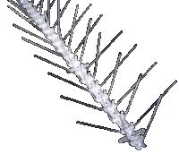China Fabrication Stainless Steel Bird Spike in Pest Control for sale