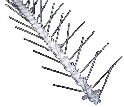 China Fabrication Stainless Steel Bird Spike in Pest Control for sale