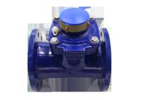 China 4-8 Inch Horizontal Woltmann Dry Type Detachable Water Meter for Industrial Cold Water Applications for sale