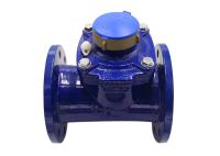 China DN50 to DN300 Dry Type Flange Connection Woltman Turbine Water Meter with 1-Year Warranty and OEM Support for sale