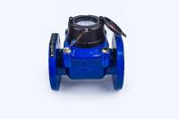 China DN 50-300 Horizontal Dry Detachable Water Meter with Pulse Output - 5W Power, 50 VDC Voltage for sale