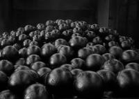 China High and Low Chromium Alloy Cast Steel Ball Grinding Media 40mm 50mm 60mm High Cr Cast Alloy Iron Grinding Balls for sale