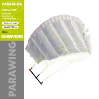 China Beginner Friendly Parawings 280 X 130cm Skateboard Teaching Kitesurf Pump for sale