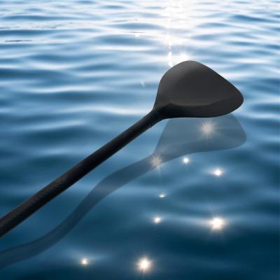 China Adjustable Carbon Fiber Paddle 290x250mm for Kayak Canoe SUP Water Sports for sale
