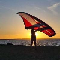 China Carbon Handle Inflatable Wing Foil 5m² Wind Surfing Kite Board 1.5kg to 3.0kg for sale