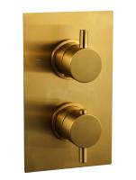 China More Finishes Concealed Shower Mixer For Modern Bathrooms T8561 for sale