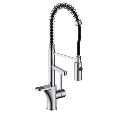 China Brass Kitchen Mixer Faucet Durable Solid Brass Body Single Lever Handle T91099 for sale