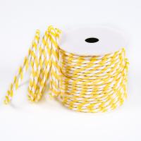 China Biodegradable Craft Paper Rope 100m Medium Strength - Eco-Friendly Twisted Paper Cord for Gift Wrapping for sale