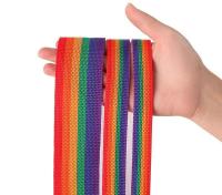 China Rainbow Polypropylene Webbing 20-50mm Width 0.5mm Thickness with 500 Lbs Tensile Strength for Industrial Applications for sale