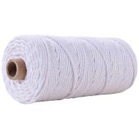 China Green 3 Strand Twisted Nylon Rope 3mm Diameter 550lb Strength 50ft Length for Macrame Crafts for sale