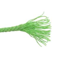 China Green 3 Strand Twisted Nylon Rope 3mm Diameter 550lb Strength 50ft Length for Macrame Crafts for sale