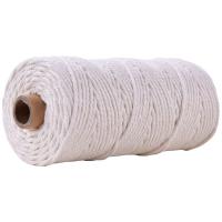 China Green 3 Strand Twisted Nylon Rope 3mm Diameter 550lb Strength 50ft Length for Macrame Crafts for sale