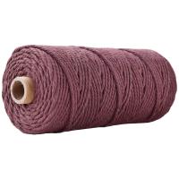 China Green 3 Strand Twisted Nylon Rope 3mm Diameter 550lb Strength 50ft Length for Macrame Crafts for sale