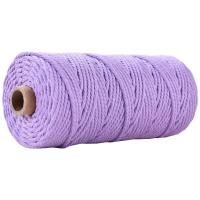 China Green 3 Strand Twisted Nylon Rope 3mm Diameter 550lb Strength 50ft Length for Macrame Crafts for sale
