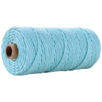 China Green 3 Strand Twisted Nylon Rope 3mm Diameter 550lb Strength 50ft Length for Macrame Crafts for sale