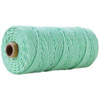 China Green 3 Strand Twisted Nylon Rope 3mm Diameter 550lb Strength 50ft Length for Macrame Crafts for sale