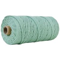 China Green 3 Strand Twisted Nylon Rope 3mm Diameter 550lb Strength 50ft Length for Macrame Crafts for sale