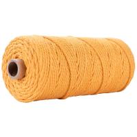 China Green 3 Strand Twisted Nylon Rope 3mm Diameter 550lb Strength 50ft Length for Macrame Crafts for sale