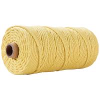 China Green 3 Strand Twisted Nylon Rope 3mm Diameter 550lb Strength 50ft Length for Macrame Crafts for sale