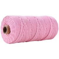China Green 3 Strand Twisted Nylon Rope 3mm Diameter 550lb Strength 50ft Length for Macrame Crafts for sale