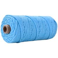 China Green 3 Strand Twisted Nylon Rope 3mm Diameter 550lb Strength 50ft Length for Macrame Crafts for sale