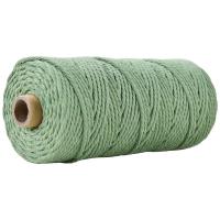 China Green 3 Strand Twisted Nylon Rope 3mm Diameter 550lb Strength 50ft Length for Macrame Crafts for sale