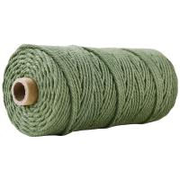 China Green 3 Strand Twisted Nylon Rope 3mm Diameter 550lb Strength 50ft Length for Macrame Crafts for sale