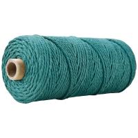 China Green 3 Strand Twisted Nylon Rope 3mm Diameter 550lb Strength 50ft Length for Macrame Crafts for sale