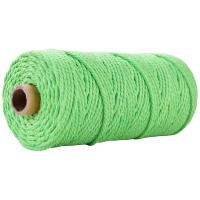 China Green 3 Strand Twisted Nylon Rope 3mm Diameter 550lb Strength 50ft Length for Macrame Crafts for sale