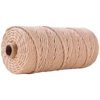 China Green 3 Strand Twisted Nylon Rope 3mm Diameter 550lb Strength 50ft Length for Macrame Crafts for sale