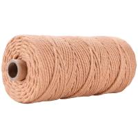 China Green 3 Strand Twisted Nylon Rope 3mm Diameter 550lb Strength 50ft Length for Macrame Crafts for sale