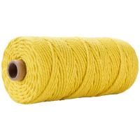 China Green 3 Strand Twisted Nylon Rope 3mm Diameter 550lb Strength 50ft Length for Macrame Crafts for sale