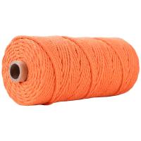China Green 3 Strand Twisted Nylon Rope 3mm Diameter 550lb Strength 50ft Length for Macrame Crafts for sale