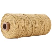 China Green 3 Strand Twisted Nylon Rope 3mm Diameter 550lb Strength 50ft Length for Macrame Crafts for sale