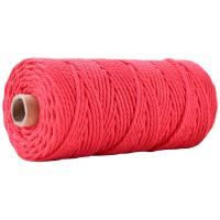 China Green 3 Strand Twisted Nylon Rope 3mm Diameter 550lb Strength 50ft Length for Macrame Crafts for sale