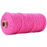 China Green 3 Strand Twisted Nylon Rope 3mm Diameter 550lb Strength 50ft Length for Macrame Crafts for sale