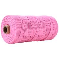 China Green 3 Strand Twisted Nylon Rope 3mm Diameter 550lb Strength 50ft Length for Macrame Crafts for sale
