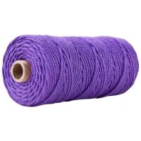 China Green 3 Strand Twisted Nylon Rope 3mm Diameter 550lb Strength 50ft Length for Macrame Crafts for sale