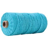 China Green 3 Strand Twisted Nylon Rope 3mm Diameter 550lb Strength 50ft Length for Macrame Crafts for sale