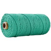 China Green 3 Strand Twisted Nylon Rope 3mm Diameter 550lb Strength 50ft Length for Macrame Crafts for sale