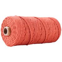 China Green 3 Strand Twisted Nylon Rope 3mm Diameter 550lb Strength 50ft Length for Macrame Crafts for sale