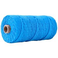 China Green 3 Strand Twisted Nylon Rope 3mm Diameter 550lb Strength 50ft Length for Macrame Crafts for sale