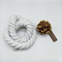 China 20mm Twisted Cotton Rope - 550 Pound Strength 3-Strand Cord for Crafts and Marine Use for sale