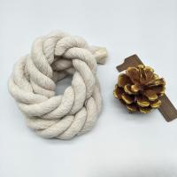 China 20mm Twisted Cotton Rope - 550 Pound Strength 3-Strand Cord for Crafts and Marine Use for sale