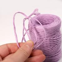 China 2mm Iron Wired Paper Rope - 100m Eco-Friendly Biodegradable Craft Cord for Gift Wrapping and DIY Projects for sale