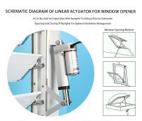 China Heavy Duty 6 Inch Stroke 12V Linear Actuator Wireless Remote for Window Opener for sale