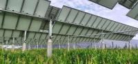 China 800mm 36 Inch Stroke Solar Linear Actuator High Torque For Solar Panel Tracking for sale