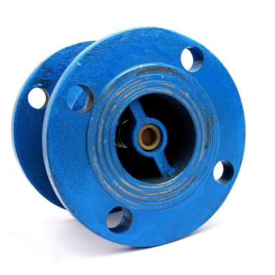 China DN50 DN80 Ductile Iron Casting Check Valve Body For Oil Pipe for sale
