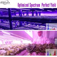 China 120W IP65 Hydroponic LED Grow Lights / LED Indoor Grow Lamp PPFD for sale